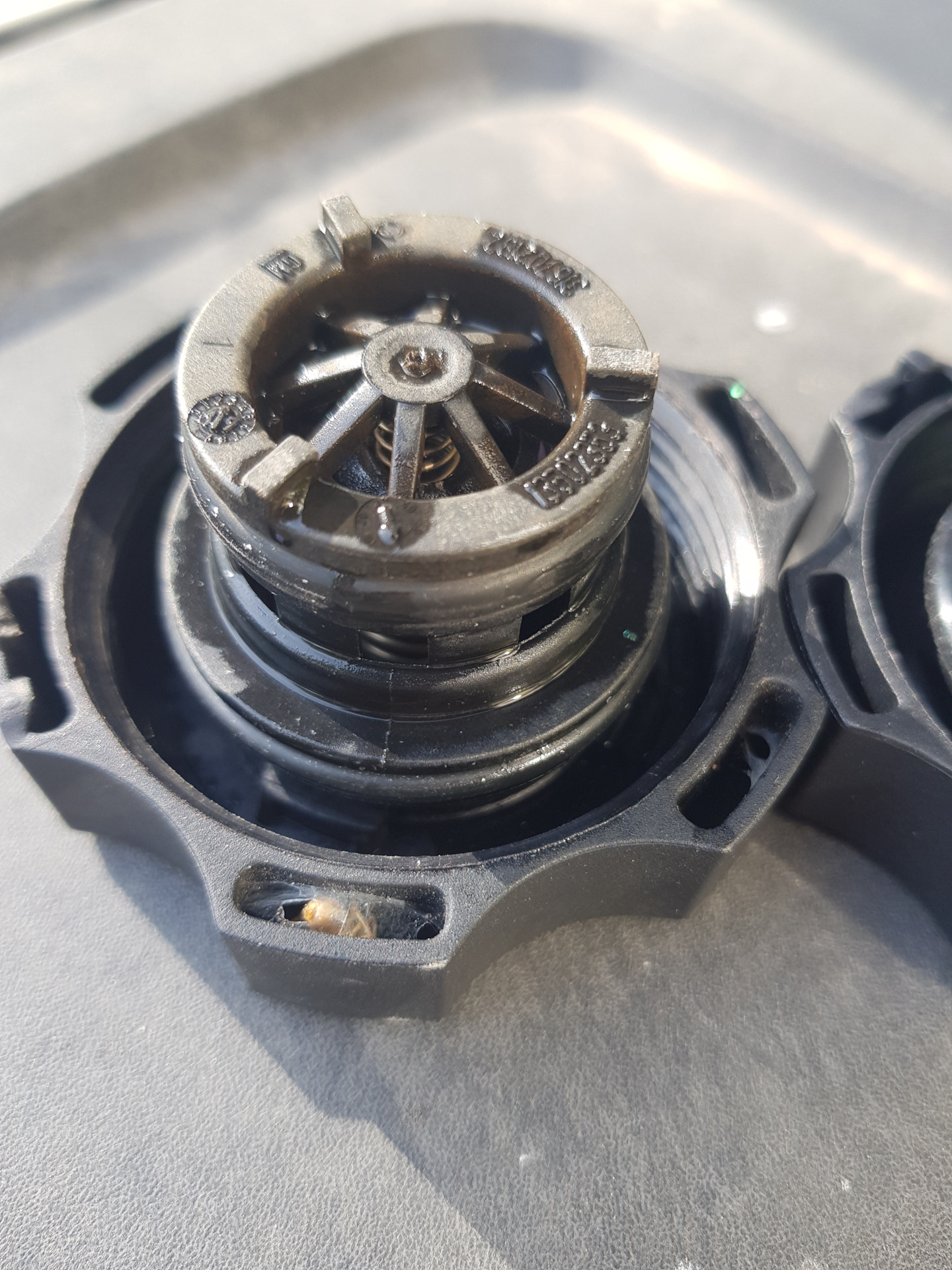 Течет патрубок или радиатор? — Opel Insignia Sports Tourer (1G), 2 л ...