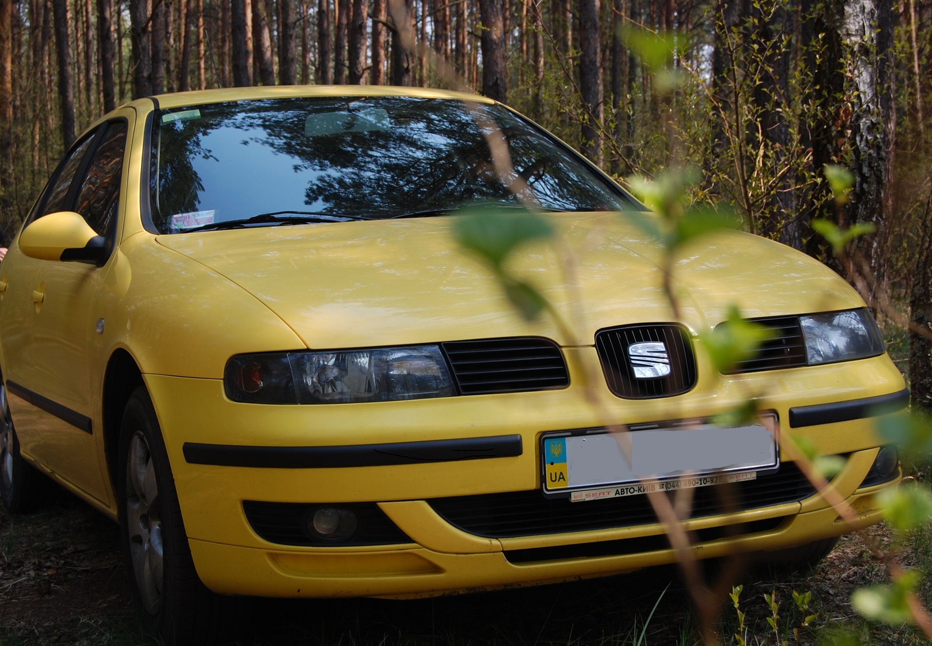 Продолжение истории этой машины ) — SEAT Leon (Mk I), 1,6 л, 2003 года ...