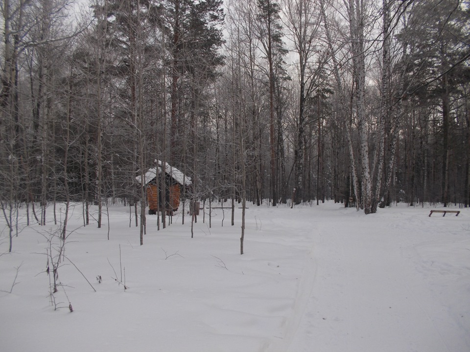 14. День рожденье в заповеднике "Оленьи ручьи". Часть 1. — Nissan Juke ...