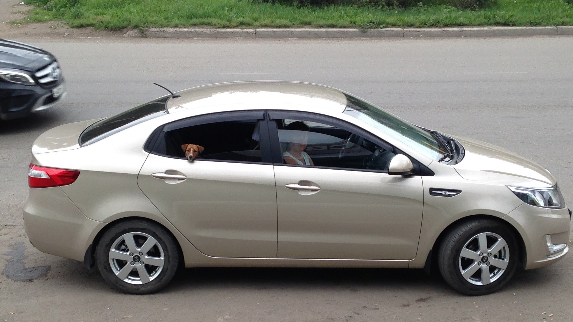 KIA Rio (3G) 1.6 бензиновый 2013 | на DRIVE2