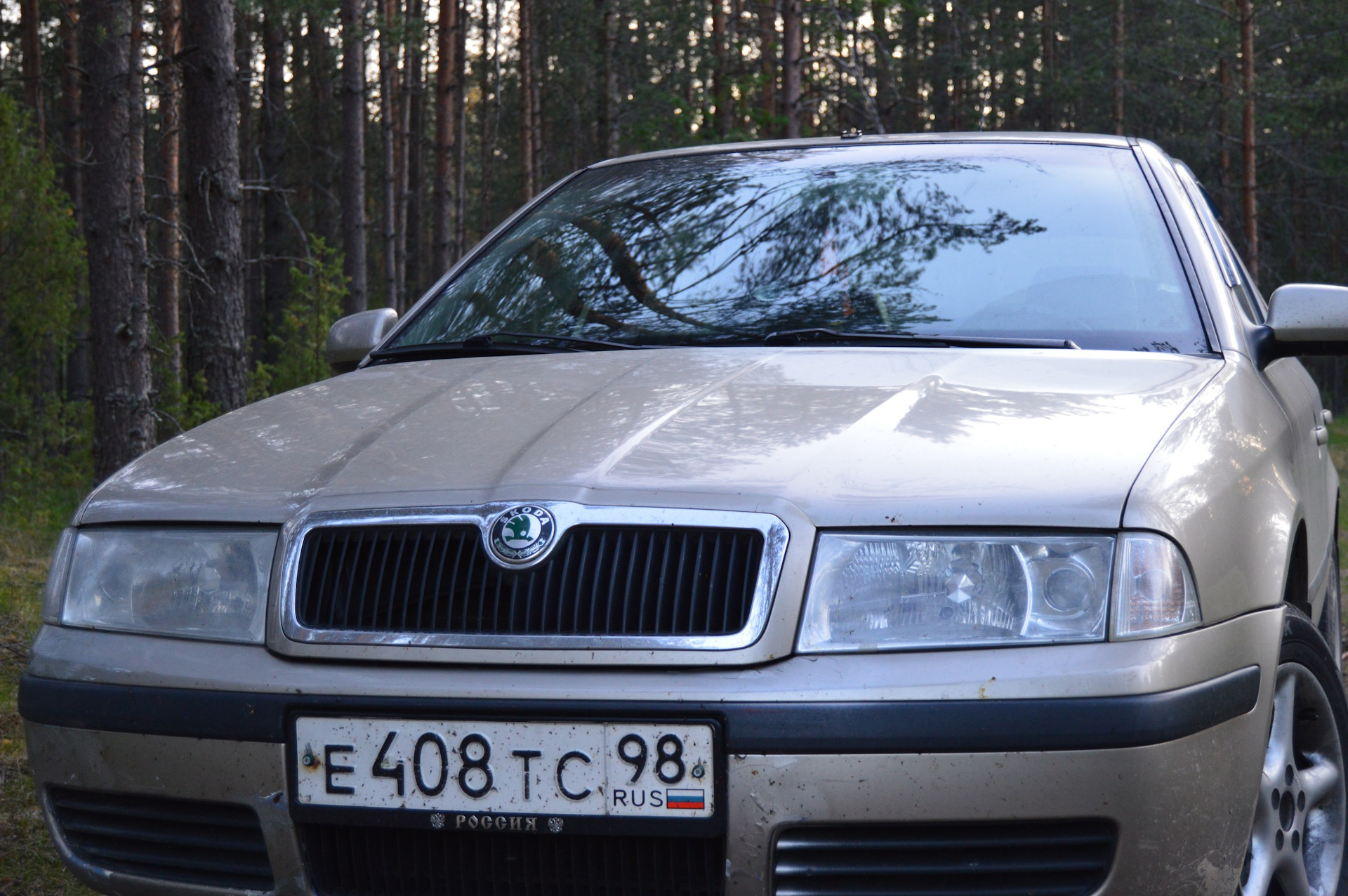 Пакет плохих дорог и масло — Skoda Octavia A4 Mk1, 1,6 л, 2005 года | тюнинг | DRIVE2