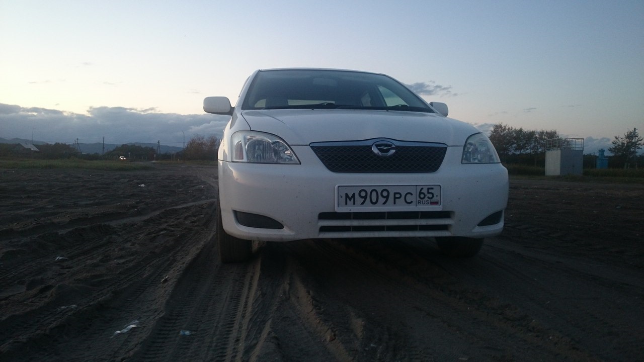 Toyota Corolla RunX 1.5 бензиновый 2003 | на DRIVE2