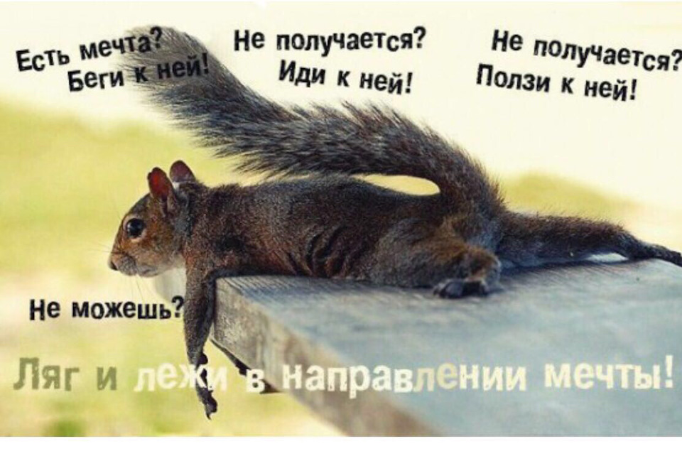 Запись, 23 мая 2017 — DRIVE2