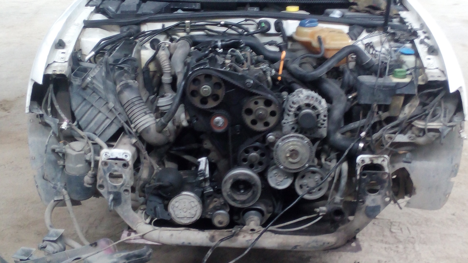 Volkswagen Passat B5 1.9 бензиновый 2000 | 1.9 TDI (ТНВД) AFN960494 на ...