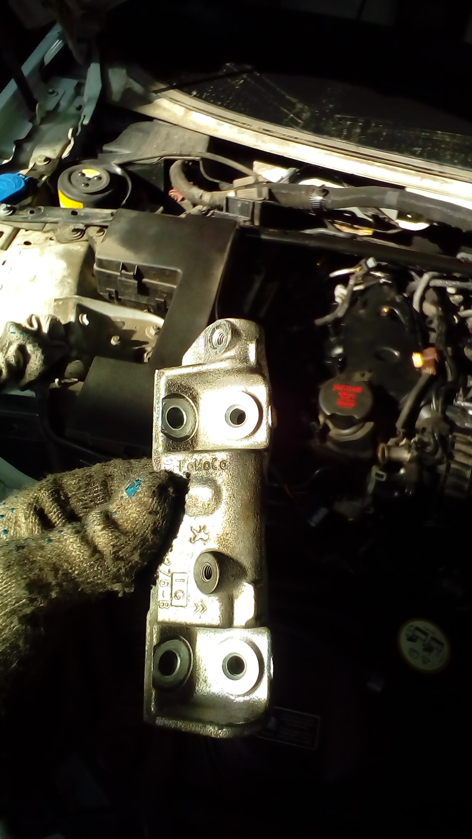 Amigo Tuning: отзывы, цены, фото