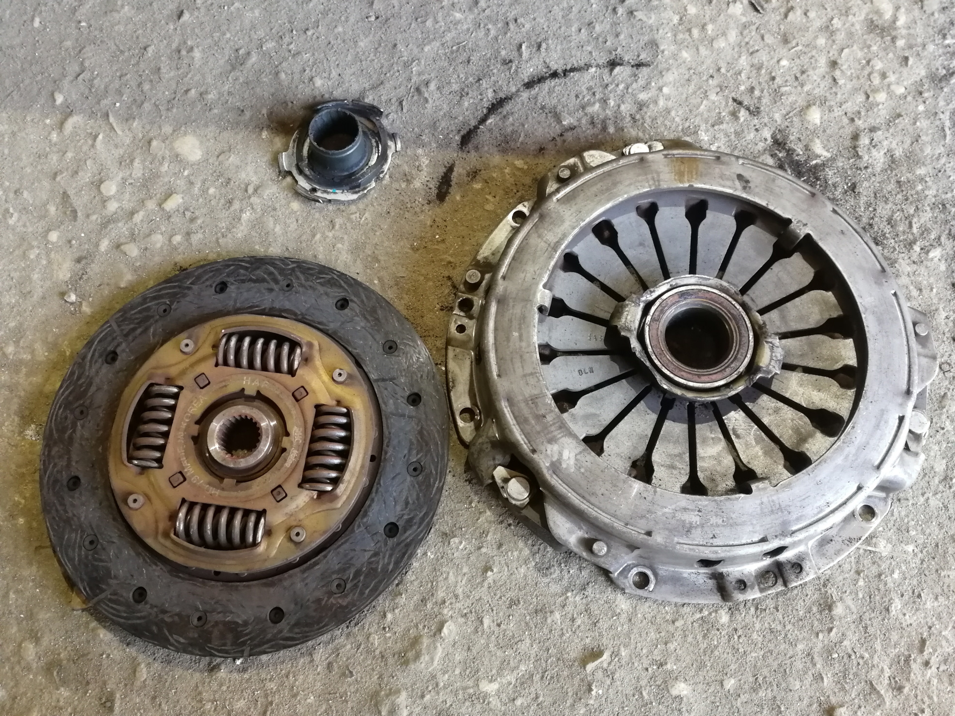 Эльке 21 — совершеннолетие ! (но дергается она не поэтому) — Hyundai ...