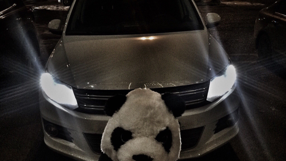 Volkswagen Tiguan (1G) 2.0 бензиновый 2016 | Turbo Panda на DRIVE2