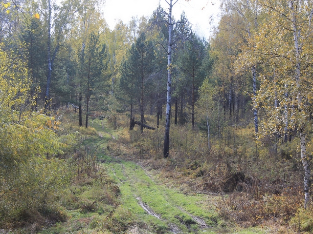 Запись, 19 августа 2017 — DRIVE2