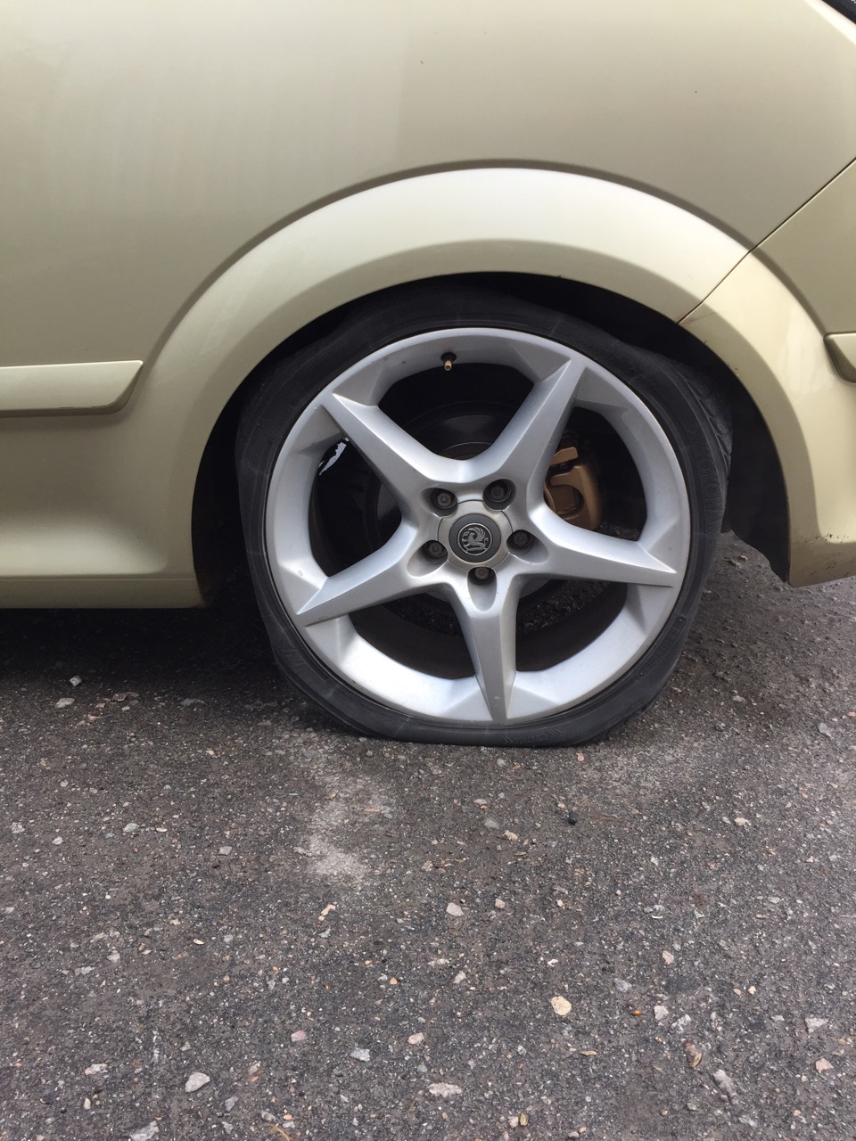 Savage XL k5.9 и др. — Opel Astra H GTC, 1,6 л, 2006 года | покатушки ...