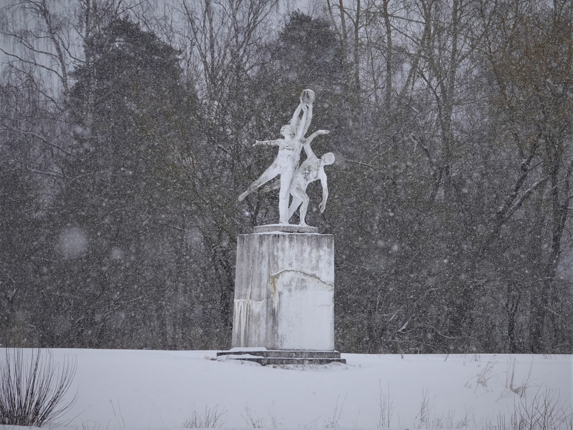 Дубна мартовская. — Nissan X-Trail III (t32), 1,6 л, 2019 года ...