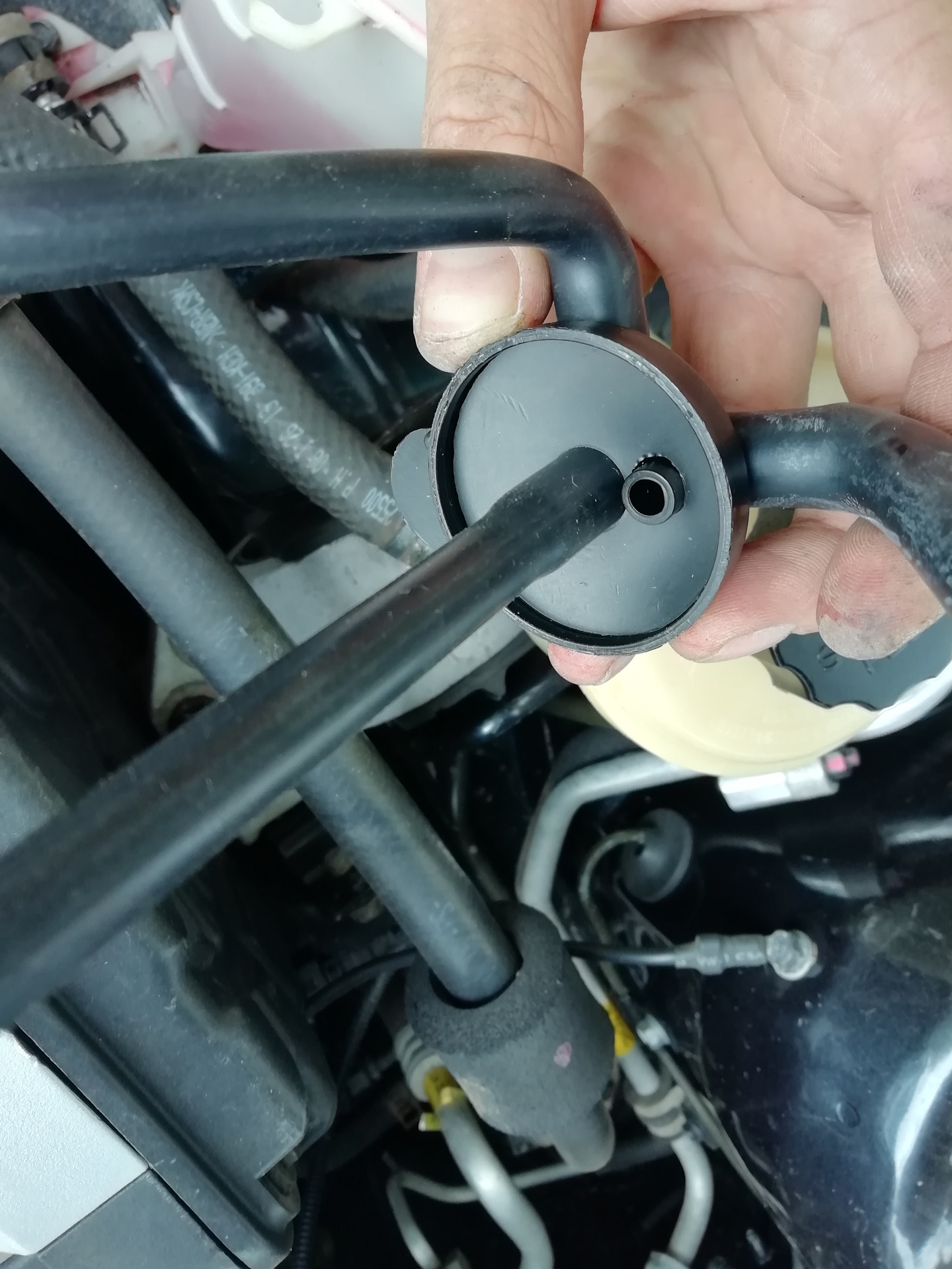 Крышка расширительного бочка — Hyundai Accent (2G), 1,5 л, 2007 года ...