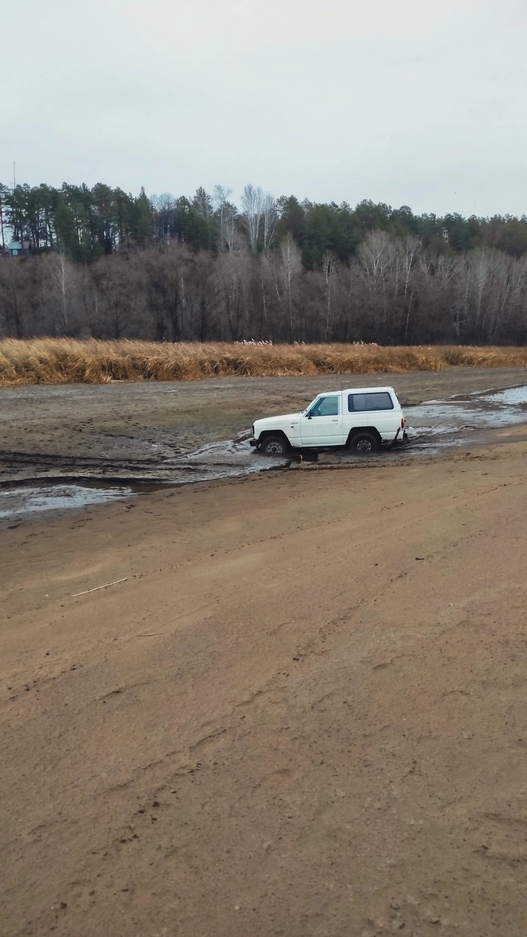 Предыстория — Nissan Patrol (K160), 2,8 л, 1987 года | покупка машины ...