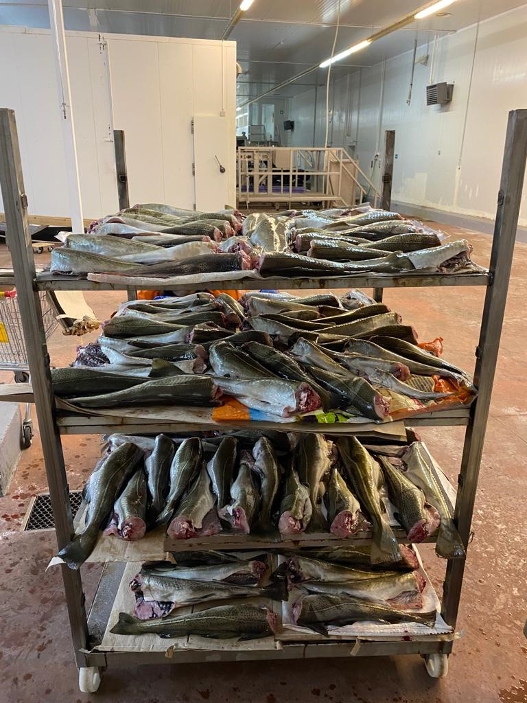 Новые шины на лето, Lexus'ализация, Путешествие. — Toyota Land Cruiser ...