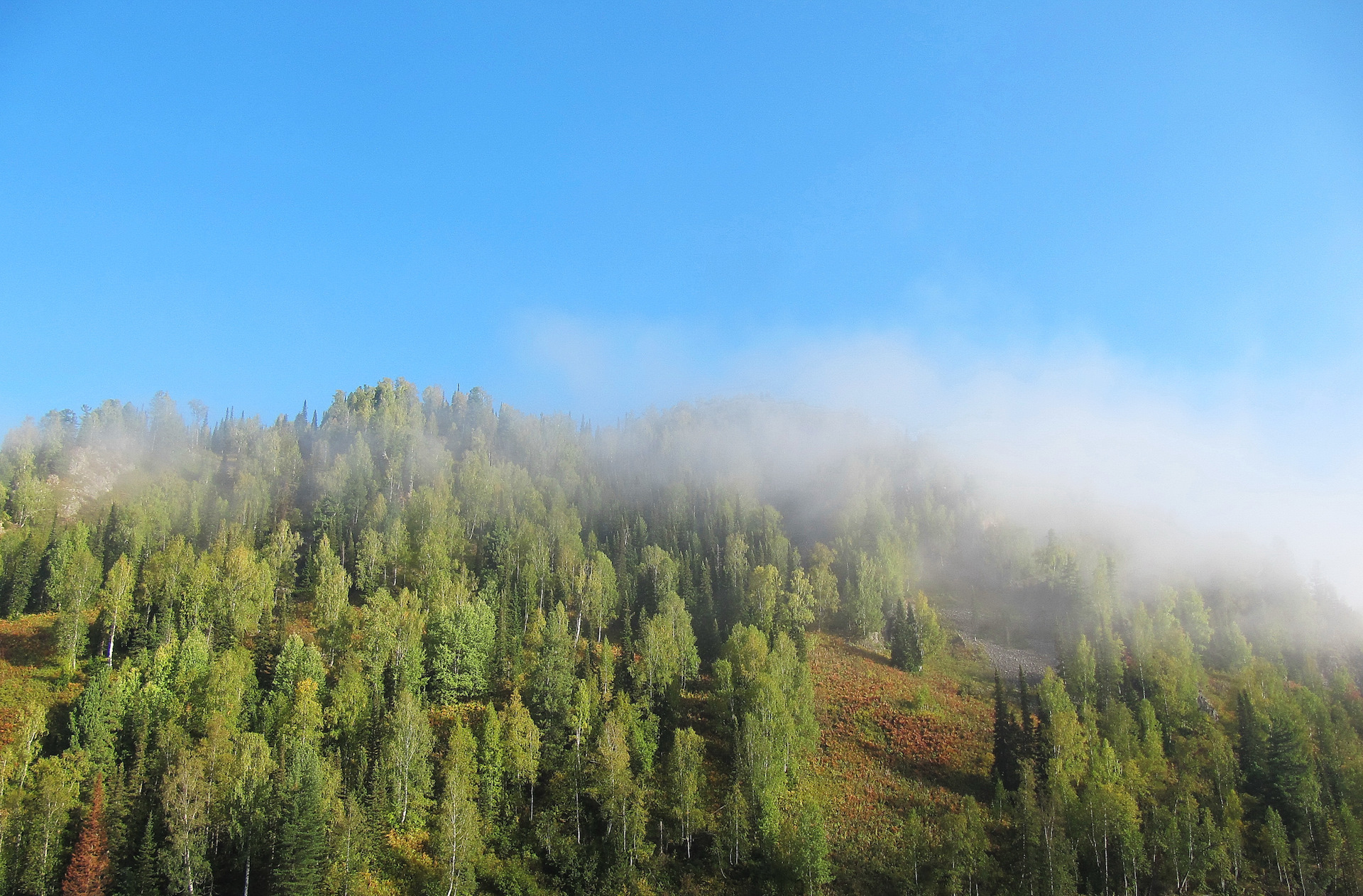 Осень 2018 (фотографировал на домкрат) — Toyota Wish (AE10), 1,8 л, 2004 года | фотография | DRIVE2