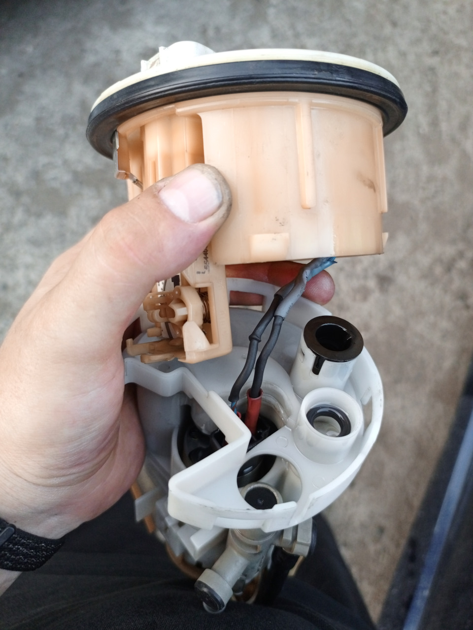 2323921010 Прокладка TOYOTA LEXUS | Запчасти на DRIVE2