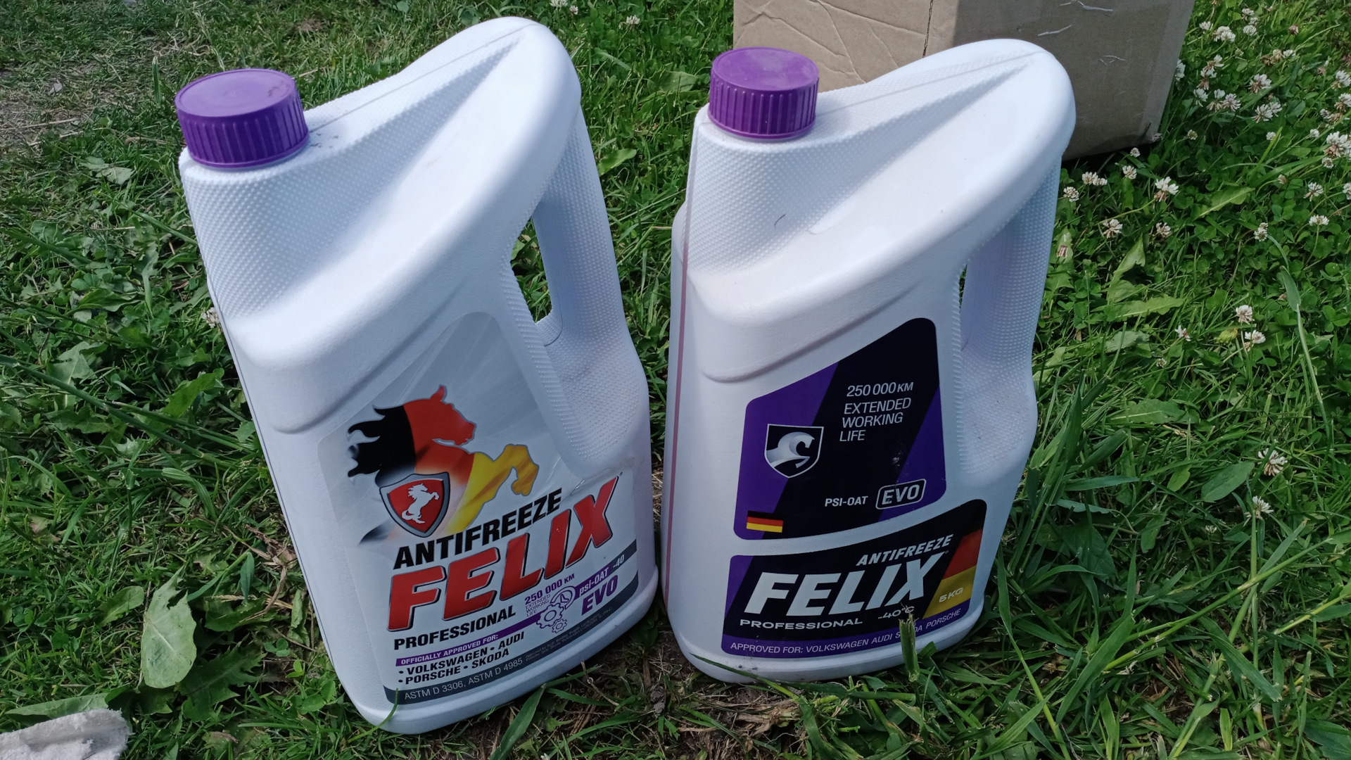 Замена антифриза ( Felix evo ) 88705 — Haval F7 (1G), 2 л, 2019 года ...