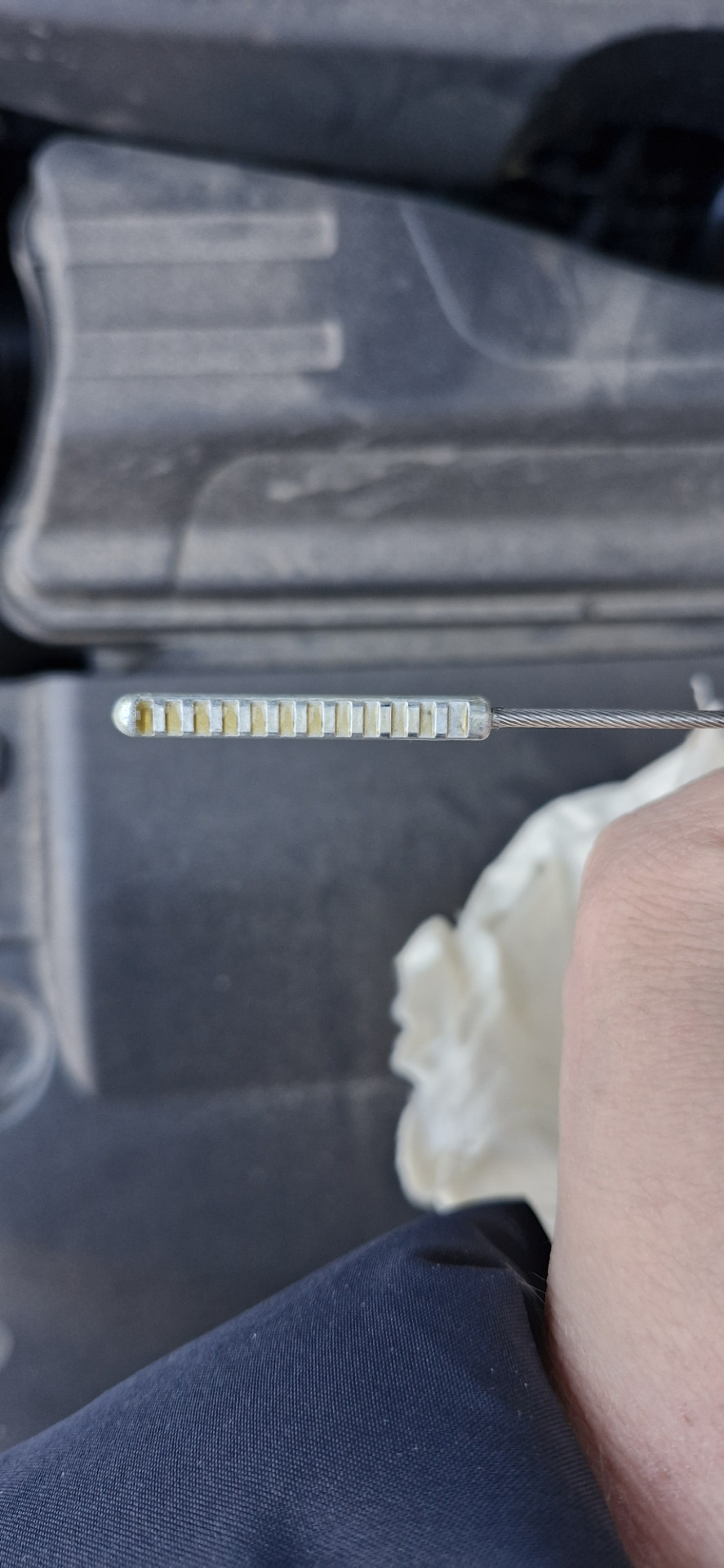 Т.О 2 Рольф — Belgee X50, 1,5 л, 2024 года | плановое ТО | DRIVE2