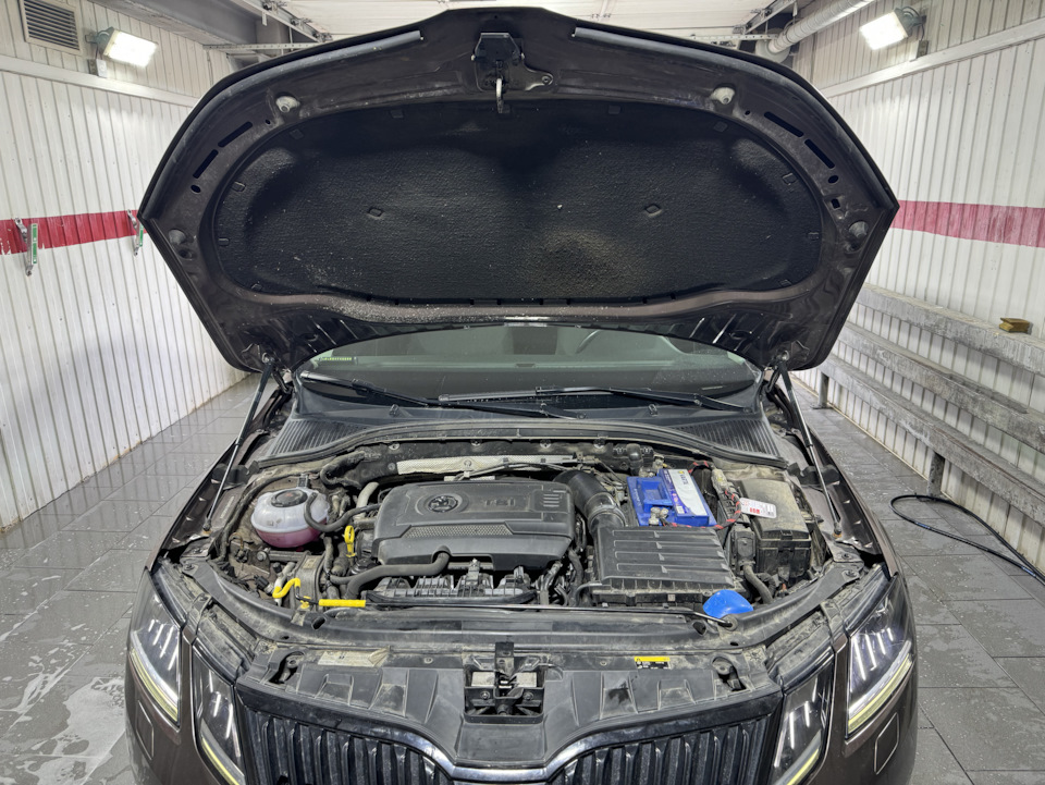 Мойка двигателя/подкапотного пространства с консервацией) — Skoda ...