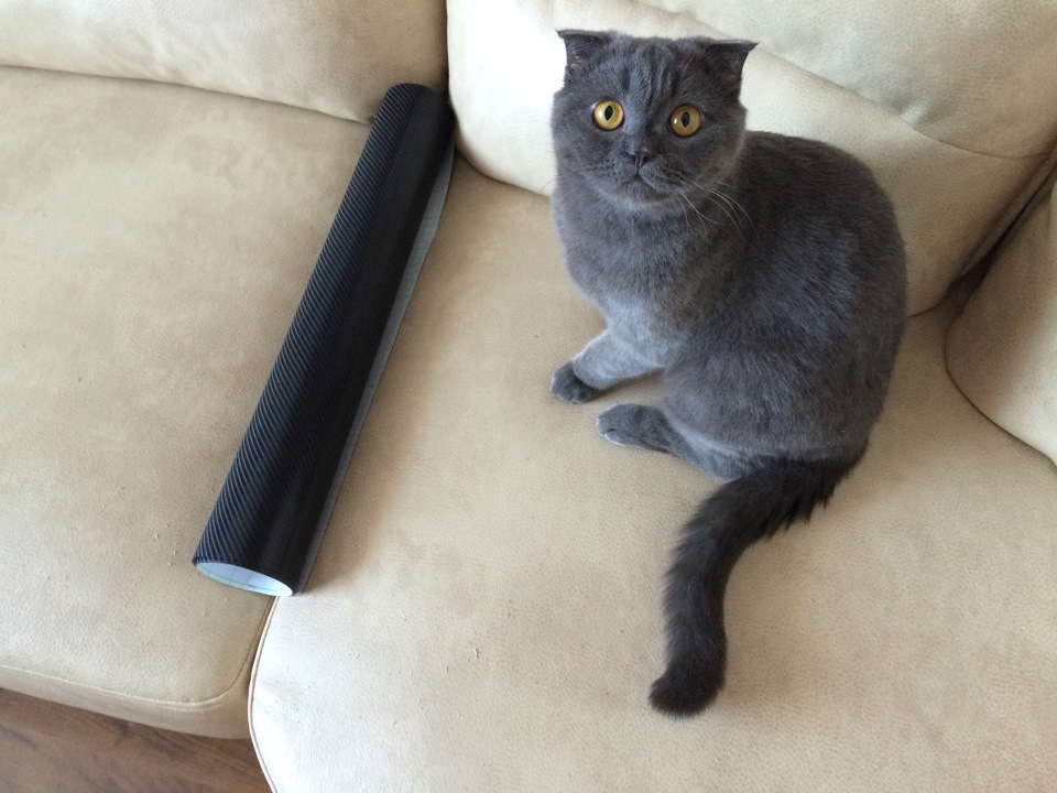 Карбон в салон начало — Toyota RAV4 (II), 2 л, 2004 года | стайлинг ...