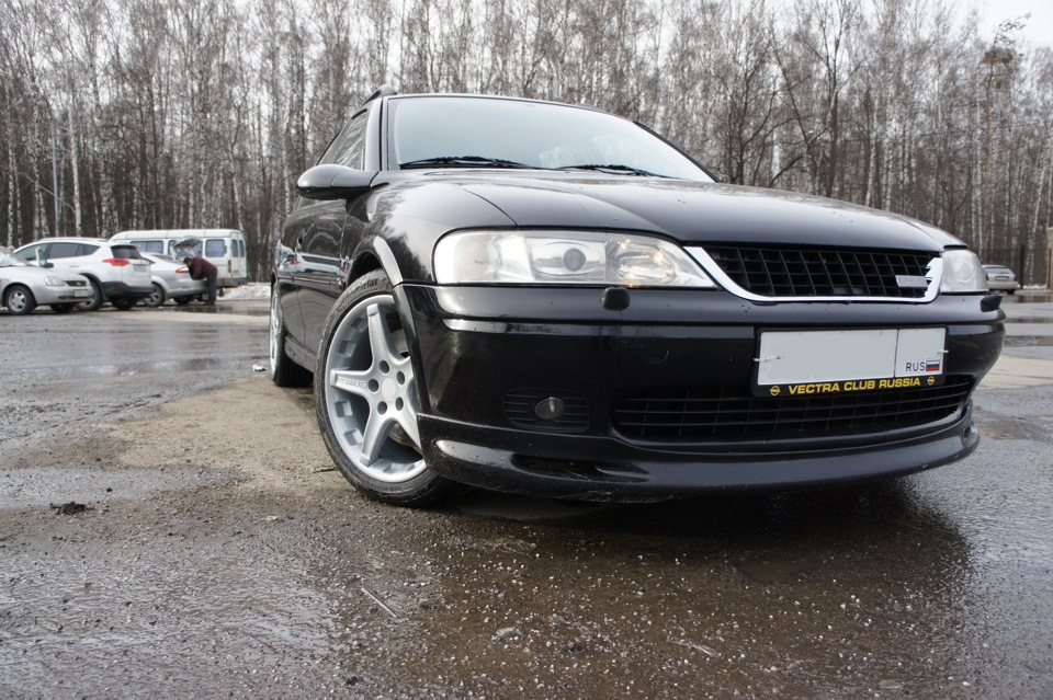 STEINMETZ ST1 17" — Opel Vectra B, 3 л, 1999 года | колёсные диски | DRIVE2