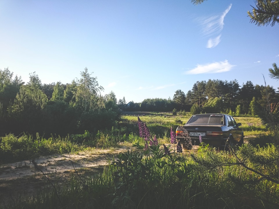 Поддерживаем машину в приличном состоянии и мечтаем о ребилде ) — BMW 5 ...