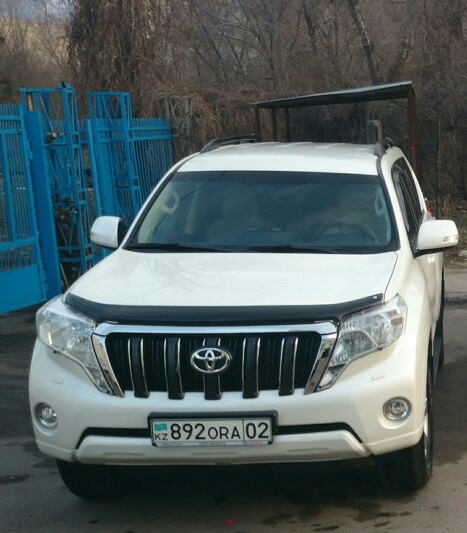 вот наконец-то покрасил решётку в цвет хорма, поменял сигнал, и диоды ...