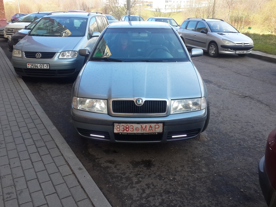 минифотосессия) — Skoda Octavia A4 Mk1, 2 л, 2002 года | фотография ...