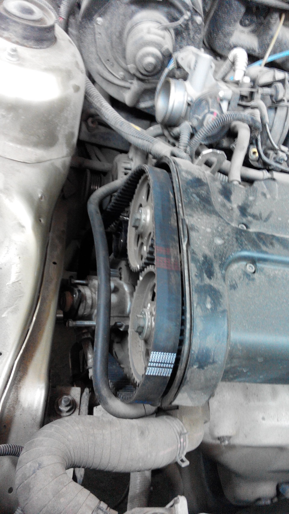 Поменял ремень ГРМ — Daewoo Nexia (N150), 1,6 л, 2008 года | визит на ...