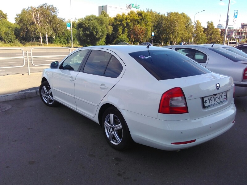 Затонировался! — Skoda Octavia A5 Mk2, 1,6 л, 2011 года | стайлинг | DRIVE2