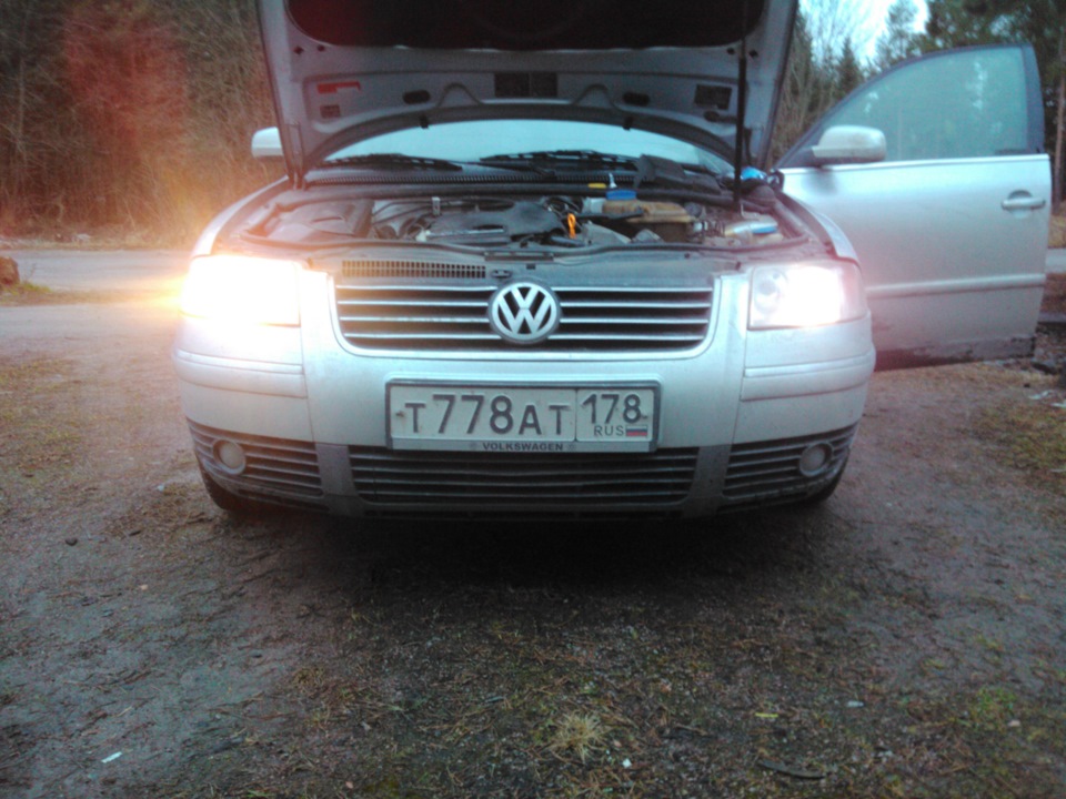 Лампочки МТФ — Volkswagen Passat B5, 1,8 л, 2001 года | аксессуары | DRIVE2