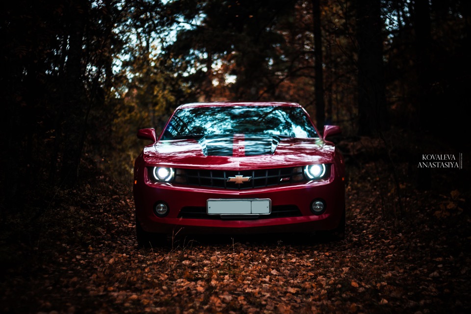 Фото сессия "CHEVROLET CAMARO" — DRIVE2