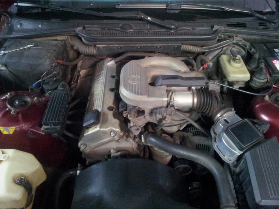 M43B18 — BMW 3 series (E36), 1,8 л, 1994 года | плановое ТО | DRIVE2