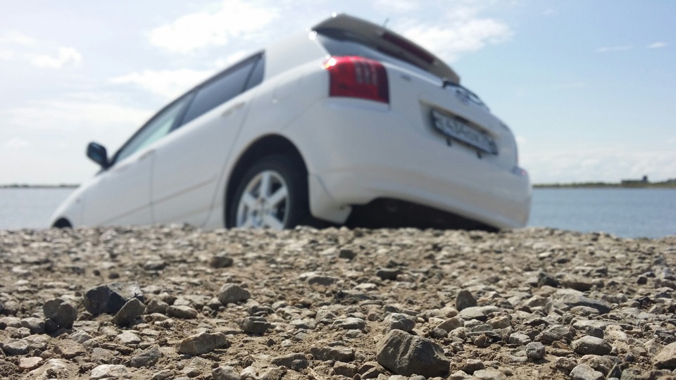 Toyota Corolla RunX 1.8 бензиновый 2002 | Belka на DRIVE2