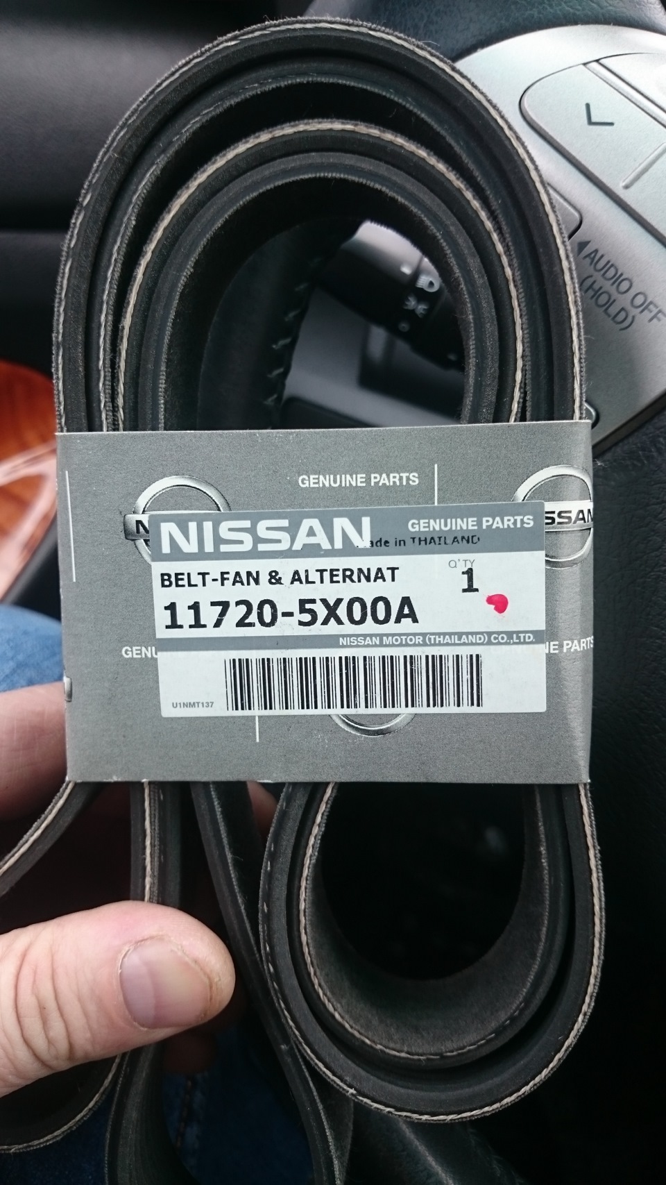 Пришла весна, текут ручьи, поют ремни. — Nissan Pathfinder (3G), 2,5 л ...