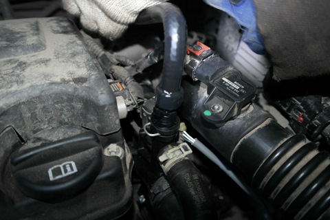 55565952 Шланг маслоохладителя GM | Запчасти на DRIVE2