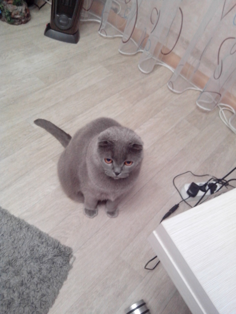 Замена помпы. И заодно… — Dodge Intrepid II, 2,7 л, 2003 года ...