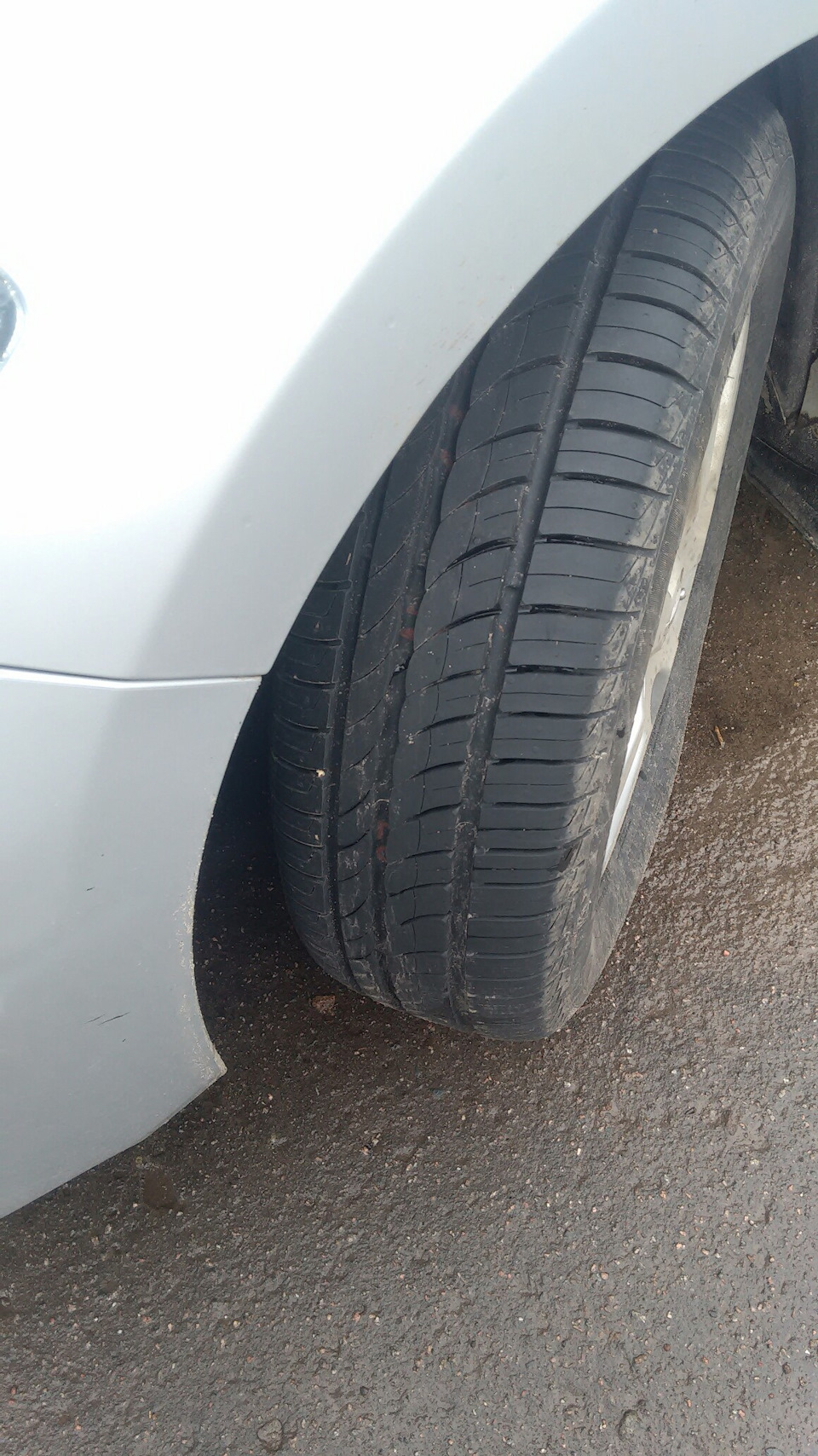 Pirelli Centurato P1 Verde — Nissan Tiida (1G), 1,6 л, 2010 года | шины ...