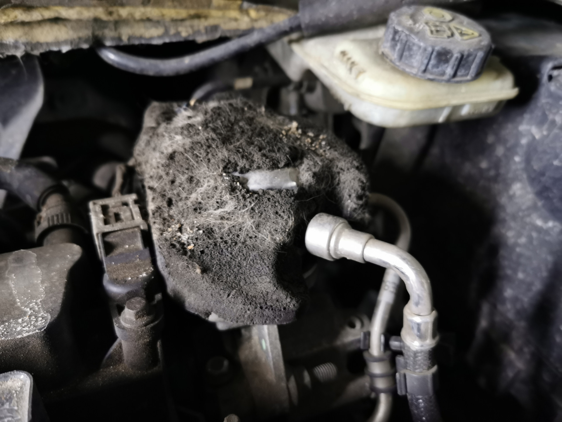 Обслуживание топливной системы. ТНВД и форсунки. — Ford Mondeo IV, 2 л ...