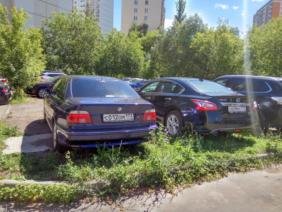 7 литров удовольствия на 2 х — Nissan Teana L33 3 5 л 2014 года