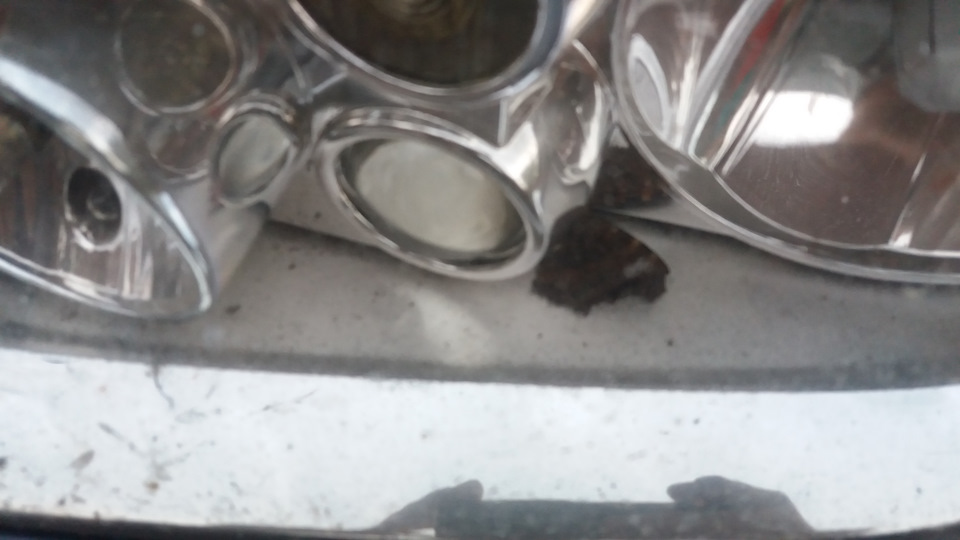 Развальная тяга задней подвески Quattro — Audi A6 (C5), 2,7 л, 2002 ...