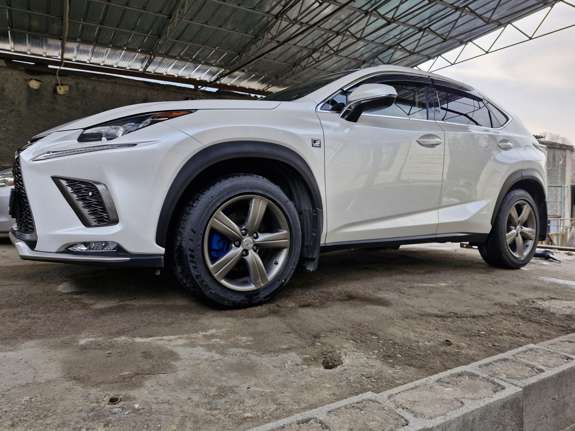 Диски — Lexus NX (1G), 2 л, 2017 года | колёсные диски | DRIVE2