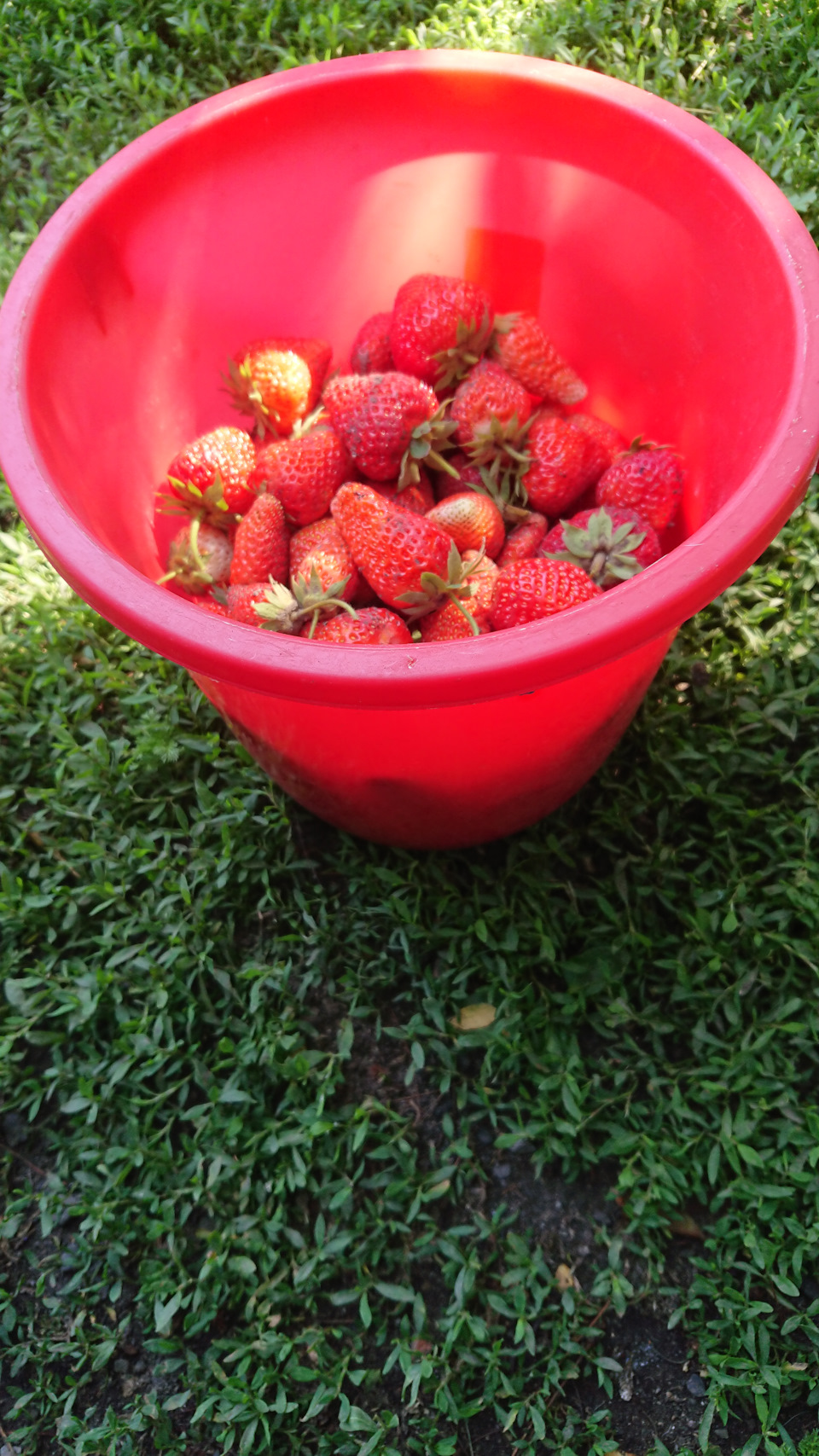 Второй сбор🍓в 2022 — DRIVE2