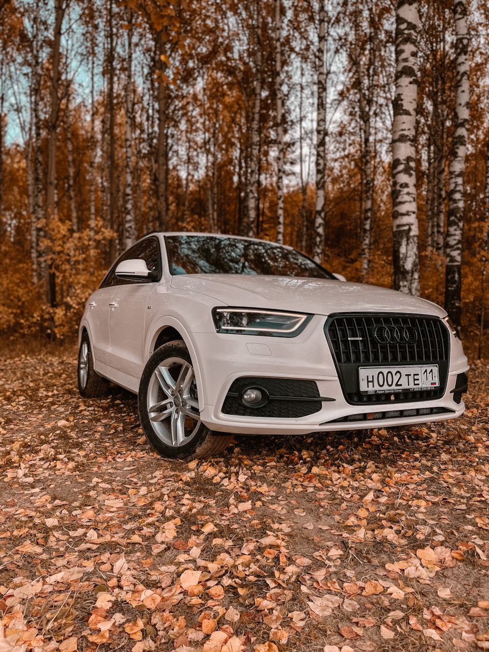 🦎 — Audi Q3 (1G), 2 л, 2013 года | просто так | DRIVE2