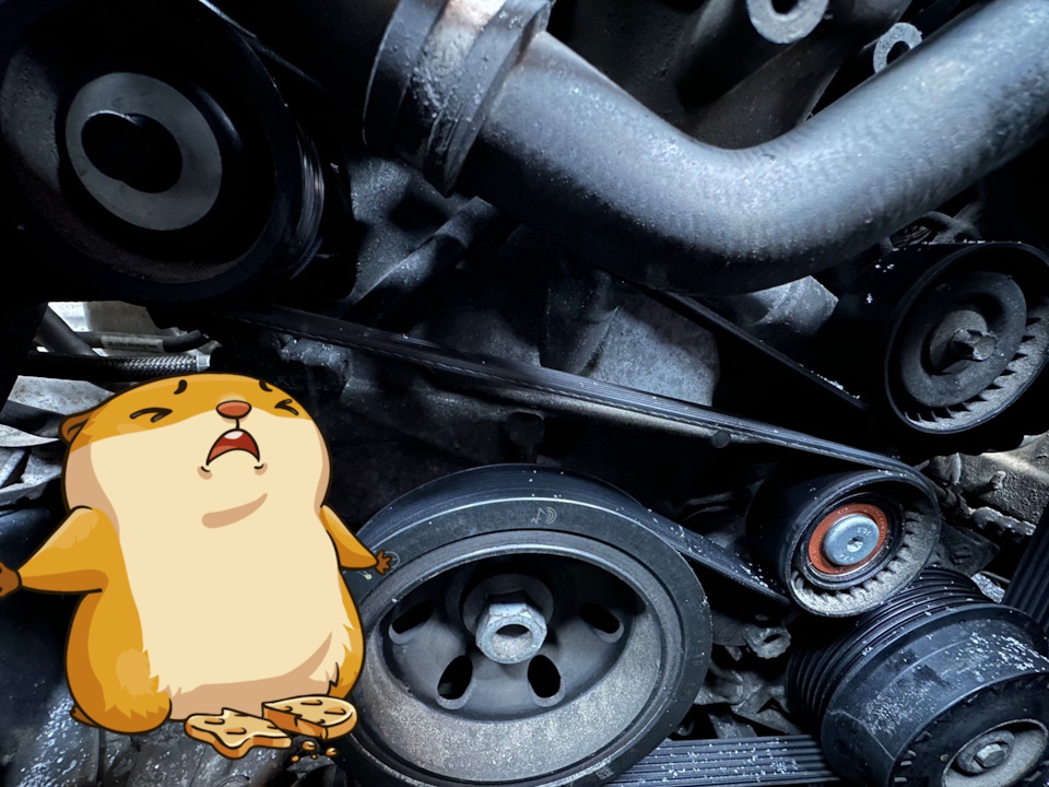 Замена приводного ремня. Держатель парковочного талона — Mercedes-Benz ...