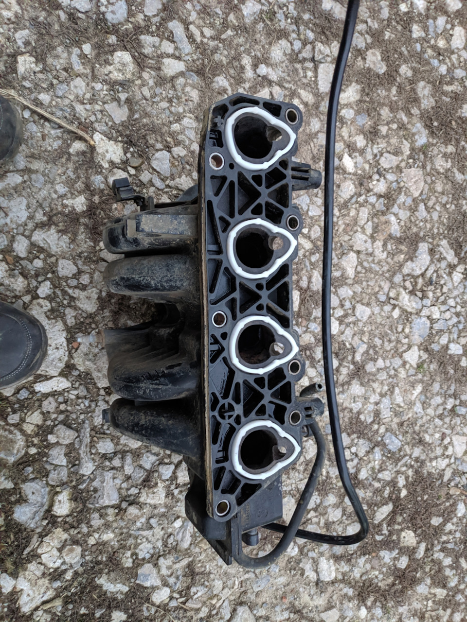 Замена резинок на впускном коллекторе и дроссельной заслонке — Renault ...