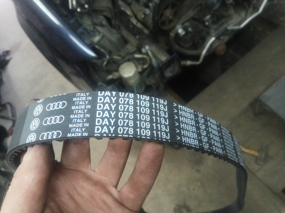 078109119J Ремень зубчатый VAG | Запчасти на DRIVE2