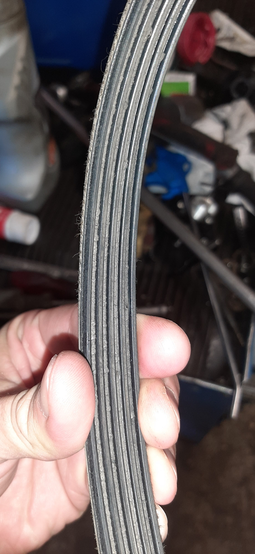 Замена ремней генератора и кондиционера плюс ролик натяжения. — Ford C ...