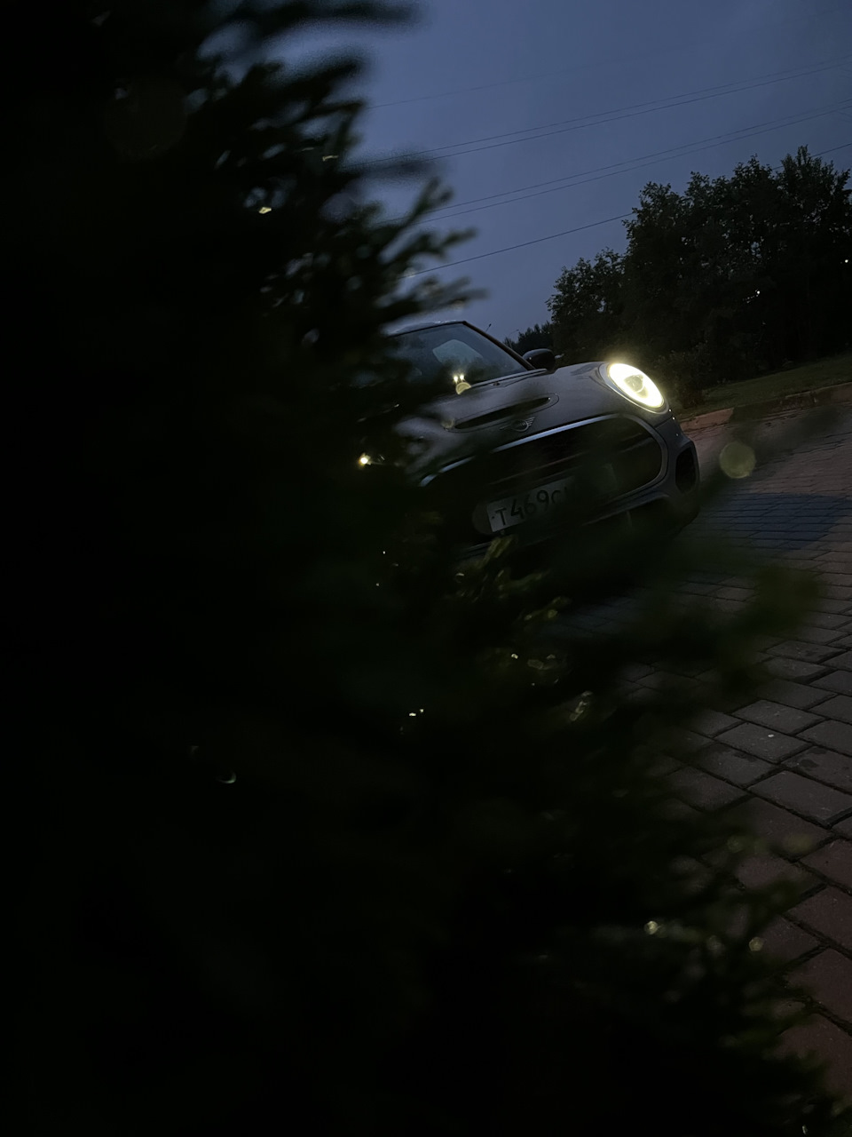 Hedgehog and his friends — MINI John Cooper Works, 2 л., 2019 года ...