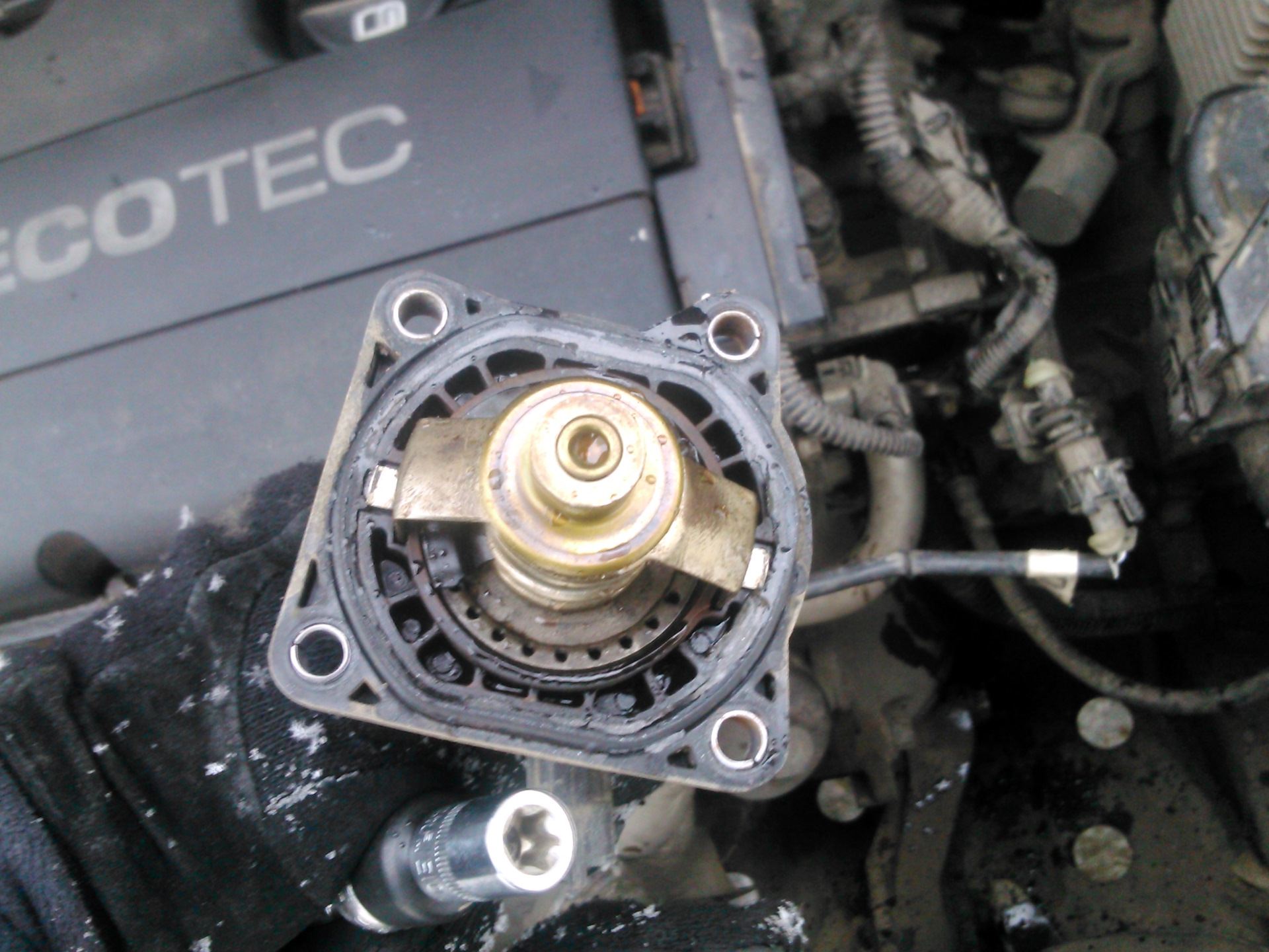 Замена термостата и его корпуса — Opel Astra J, 1,6 л, 2010 года ...