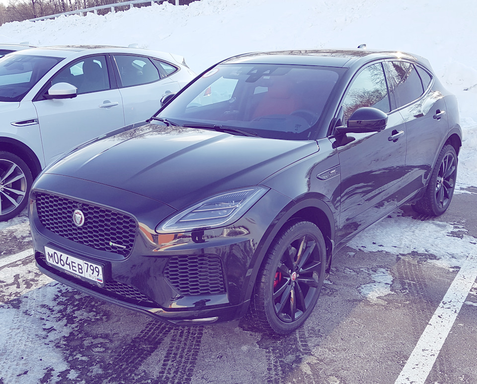 Jaguar E-Pace: First Edition — DRIVE2